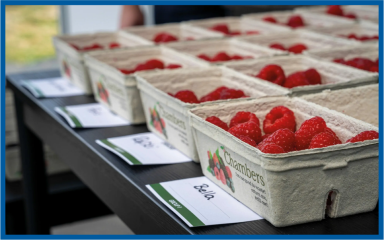 Borehole WB Chambers Farms - Sidon Water